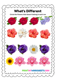 Pre-K Odd One Out Worksheets PDF | Free English Downloadable - Print My ...