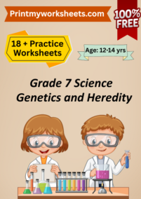 7th Grade Genetics and Heredity Worksheets PDF | Free Science Practice ...