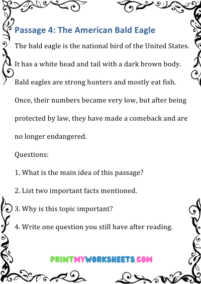 4th Grade Reading Comprehension Worksheets PDF – No Prep Classroom ...