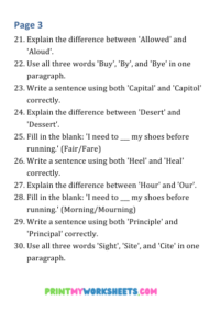 6th Grade Homophones and Homonyms Worksheets PDF – Vocabulary and ...
