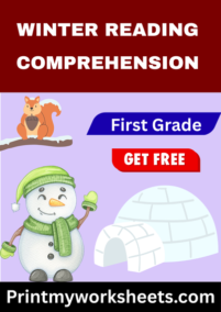 1st Grade Winter Reading Comprehension Worksheets PDF – Seasonal ...